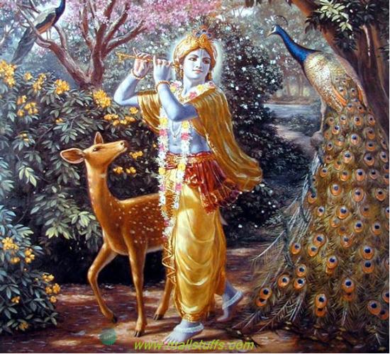 Why Animal worship in hinduism